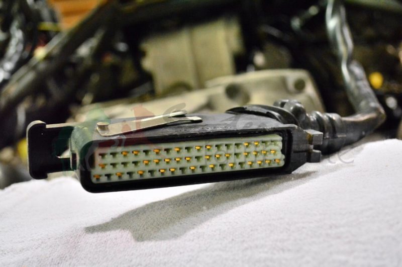 Ground Harness - Scuderia Rampante